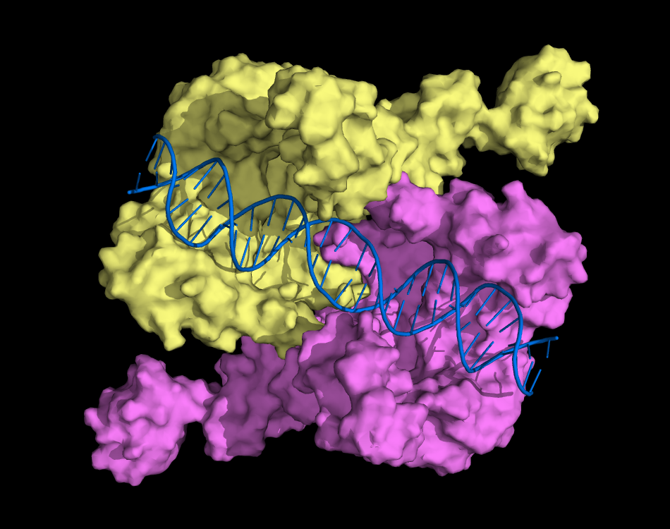 Structure of the month - March 2011 - Helmholtz-Zentrum Berlin (HZB)